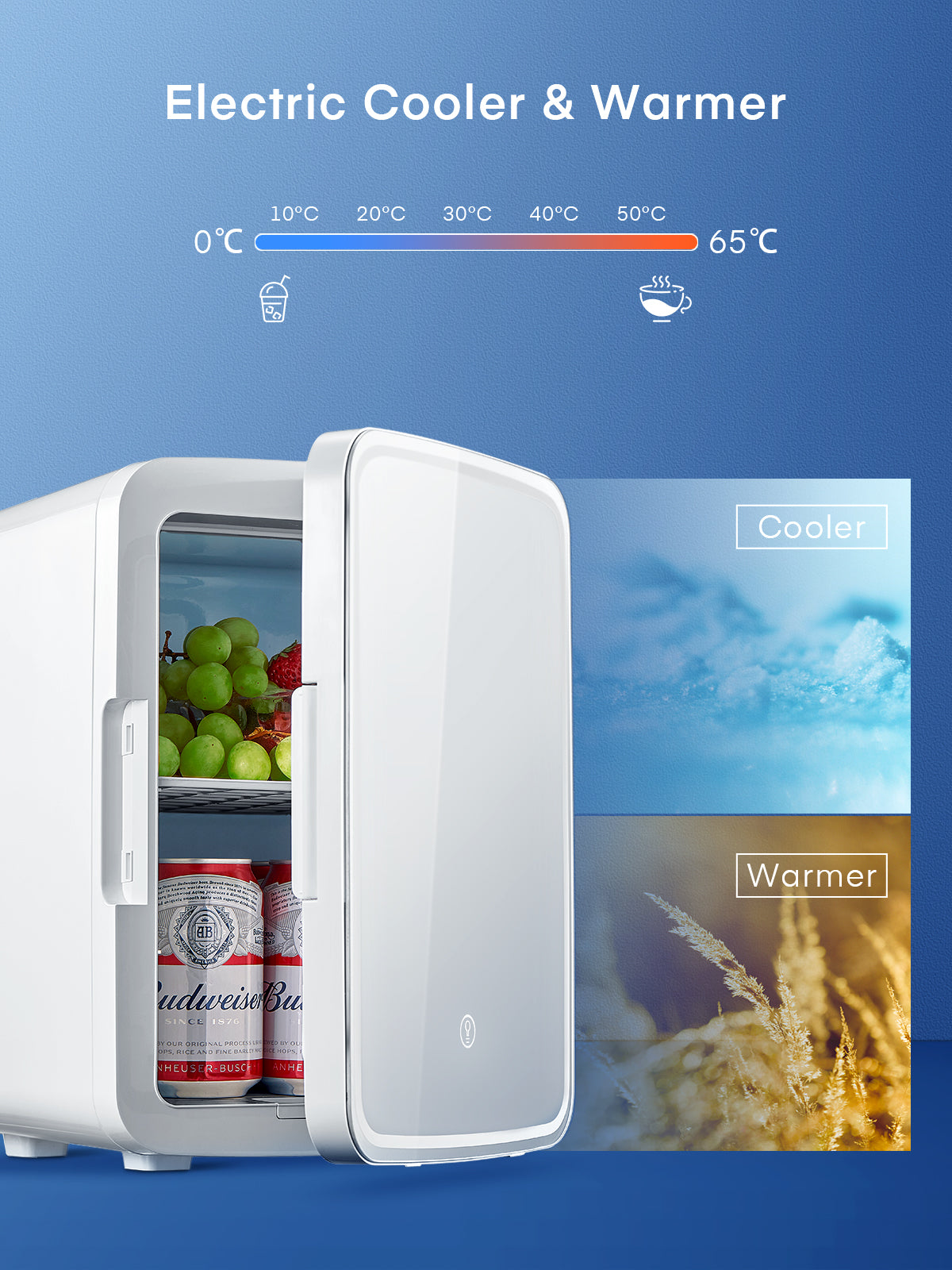 FOHERE 10L/11 Cans Mini Skincare Fridge with Mirror, 3-Mode LED, AC/DC ...